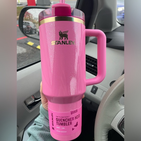 Stanley | Dining | Limited Edition Wicked X Stanley Collaboration Pink ...